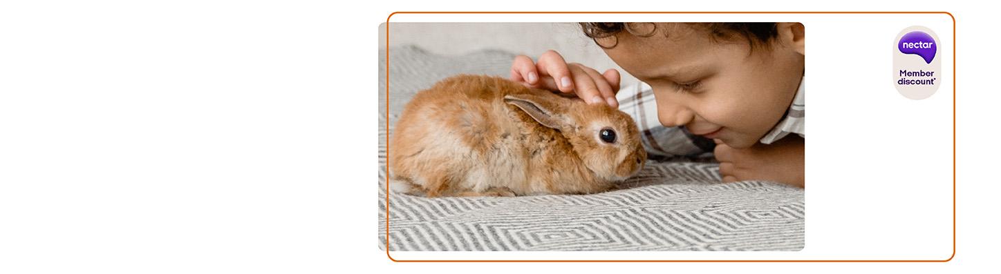Rabbit insurance – Get a Quote Now | Sainsbury’s Bank Pet Insurance