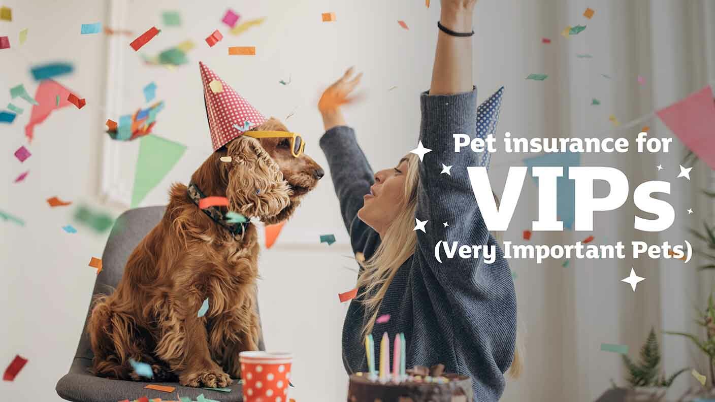 Dog Insurance | UK Pet Cover For Dogs | Sainsbury's Bank