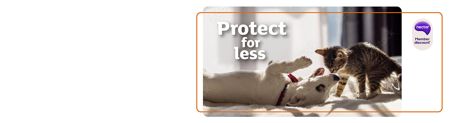 What Does Pet Insurance Cover? | Sainsbury's Bank