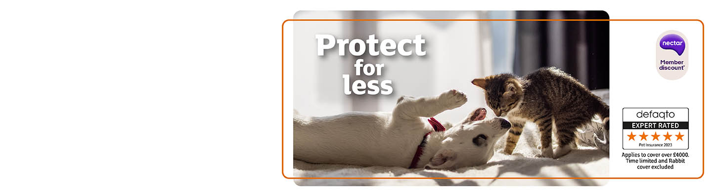Lifetime Pet Insurance | Pet Lifetime Cover | Sainsbury's Bank