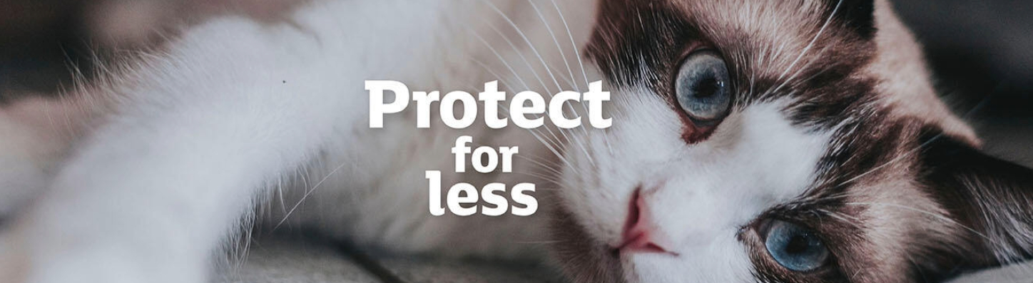 Cat Insurance Quotes | UK Pet Cover For Cats | Sainsbury's Bank